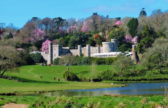 caerhays_castle_garden_016d4198678d134b633334e2ffa2f469 – Mevagissey ...