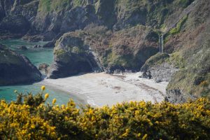 Mevagissey Cornwall: 10 Things to Know Before You Visit: Things to Do ...