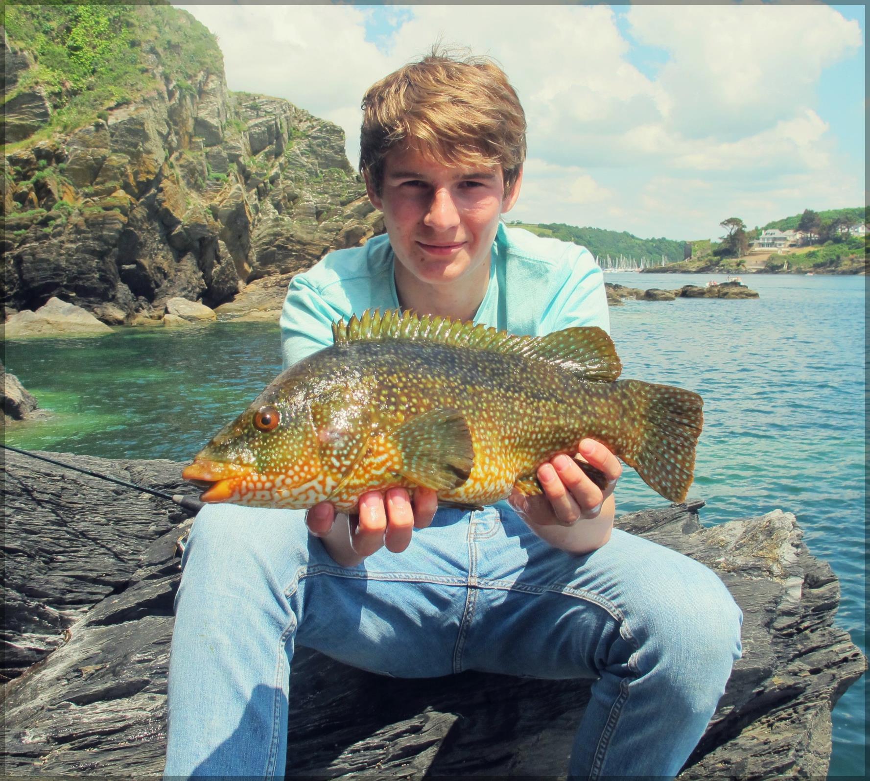 Wrasse Fishing Guide UK: Best Lures, Baits & Rigs for Rock Fishing for ...